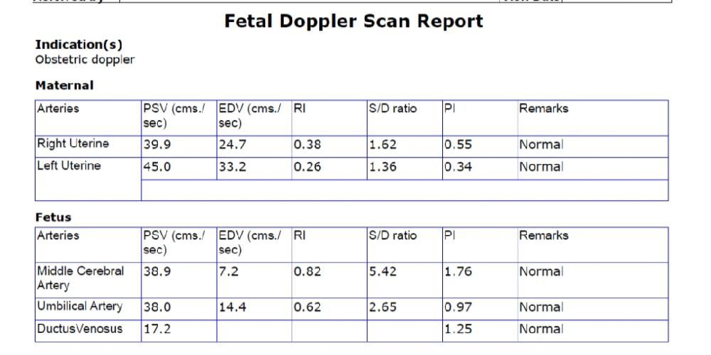 32week gestation growth scan